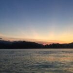 Glow-in-the-Dark Mangrove Adventure  Night Safari Plus Dinner - Transportation, Timing, and Group Size