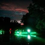 Glow Kayak Night Adventure in the Mangroves - An In-Depth Look at the Glow Kayak Night Adventure