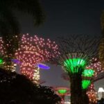 Glow with the Flow: Singapore's Illuminated River Experience - Exploring the Itinerary