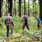 Goa: Forest and River Trail with local Breakfast and Lunch - The Practicalities: What You Need to Know