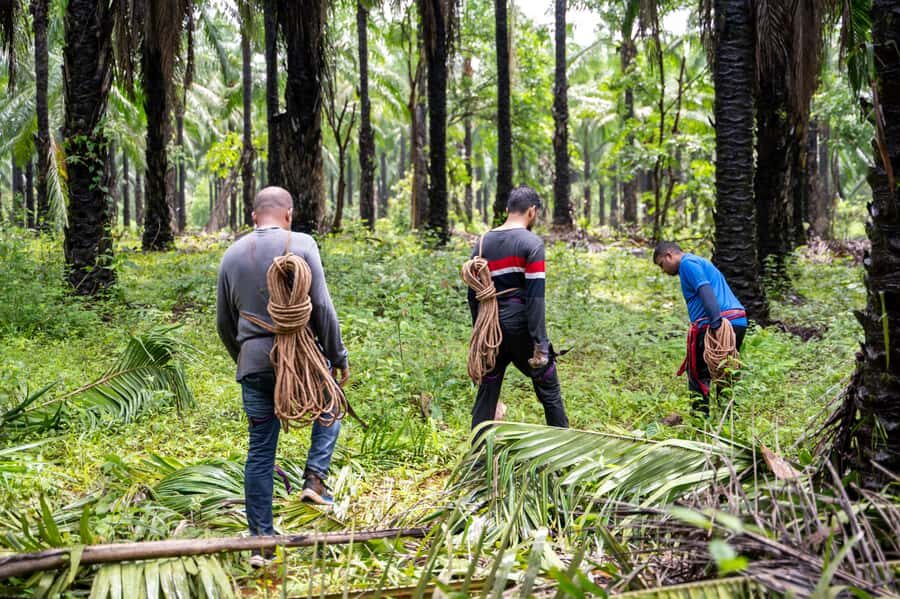 Goa: Forest and River Trail with local Breakfast and Lunch - The Practicalities: What You Need to Know