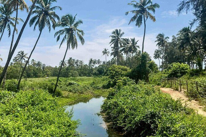 Goa: Harvalem Waterfall & Spice Plantation Join Tour - Who Should Consider This Tour?