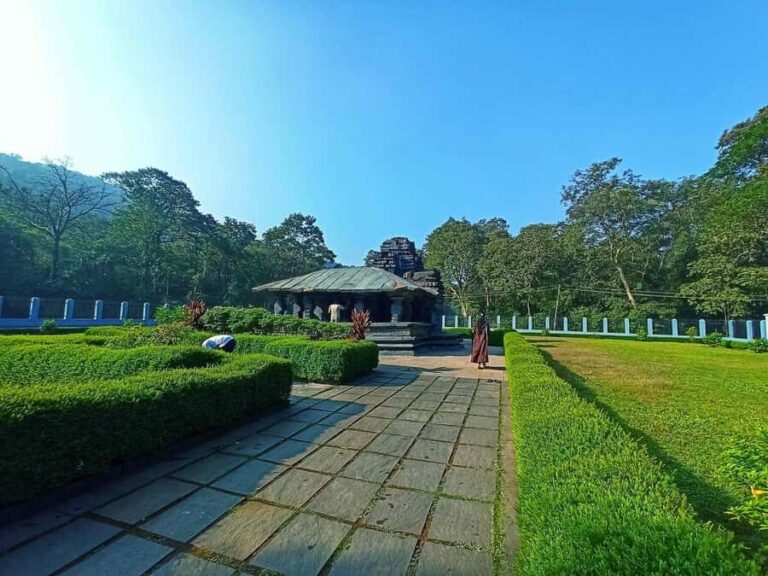 Goa: Harvalem Waterfall & Spice Plantation Tour - Overall Value and Who It Suits Best