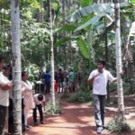 Goa in 1 Day Tour with Churches,Temples,Spice Farm Tour - Itinerary Breakdown: What You Can Expect