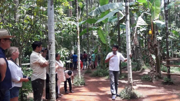 Goa in 1 Day Tour with Churches,Temples,Spice Farm Tour - Itinerary Breakdown: What You Can Expect