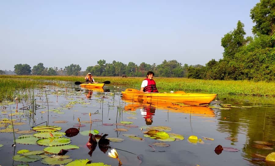 Goa Kayaking : Backwaters and Mangrove Kayaking Experience - The Value of a Guided Small-Group Trip