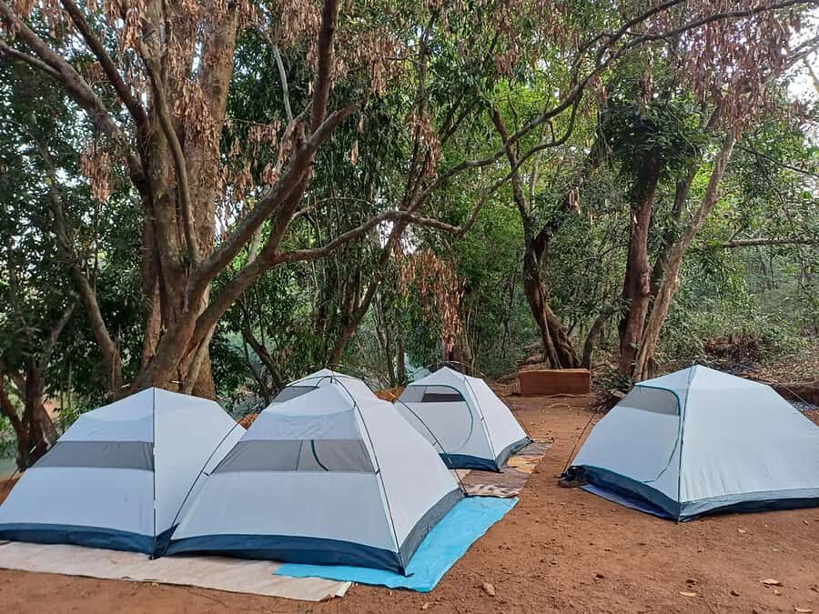 Goa: Overnight Camping with BBQ, Abseiling, and Breakfast - Deep Dive into the Experience
