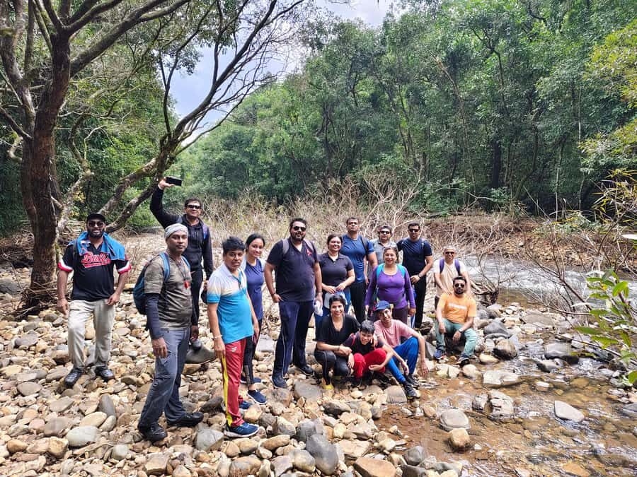 Goa: Relax by the Riverside Forest Day Out with Goan Cuisine - Practical Tips and Considerations