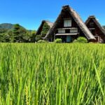 Gokayama and Shirakawago (UNESCO Heritage) Small Group(Max 9) - Who Should Consider This Tour?