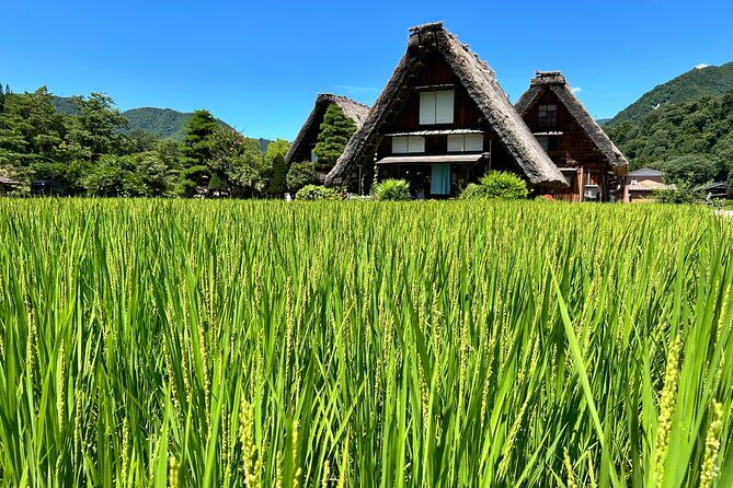 Gokayama and Shirakawago (UNESCO Heritage) Small Group(Max 9) - Who Should Consider This Tour?