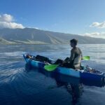 Golden Hour Kayak And Whale Watch - The Value in the Details