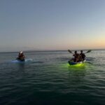 Golden Hour Kayak Cruise Through Turtle Town - Who Will Love This Tour?