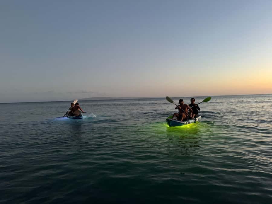 Golden Hour Kayak Cruise Through Turtle Town - Who Will Love This Tour?