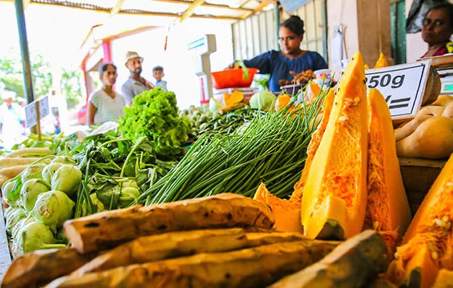 Golden Hour to Dinner: Udawalawe Cooking Experience - The Experience in Context