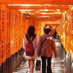 Golden Pavilion Kiyomizu Temple and Fushimi Inari Shrine Tour - Who Will Love This Tour?