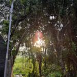 Golden Time Adventure: Sunrise Experience in Yogyakarta - Practical Details and How It Works