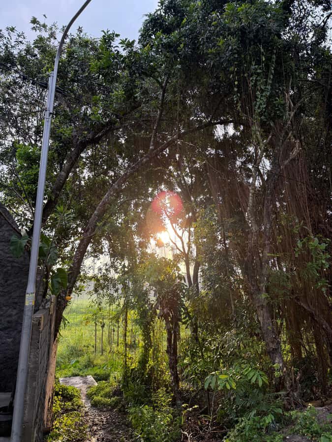 Golden Time Adventure: Sunrise Experience in Yogyakarta - Practical Details and How It Works