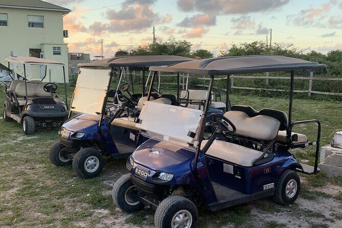 Golf Cart Adventure MaxKart Auto Rentals - Who Is This Tour Best For?