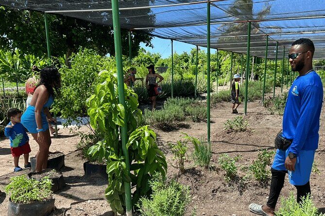 Golf Cart Eco Tour Half Day Tour - Authentic Experiences and Unique Highlights