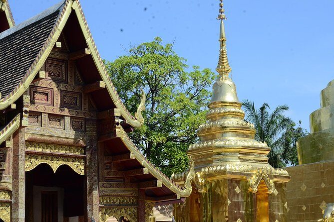 Good Morning Chiangmai. Visit morning market-Try street food-Visit unique Temple - Who Will Love This Tour?