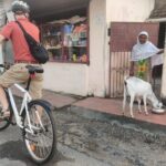 Good Morning Kochi Bicycle Tour - Who Will Love This Tour?