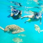 Good Times Exclusive Catamaran Cruise - Who Should Consider This Tour?