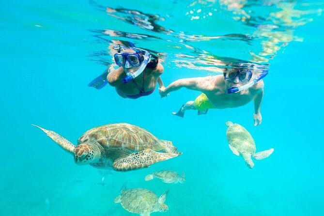 Good Times Exclusive Catamaran Cruise - Who Should Consider This Tour?