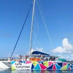 Good Vibration Catamaran Sail Swim Snorkel - Who Is This Tour Best For?