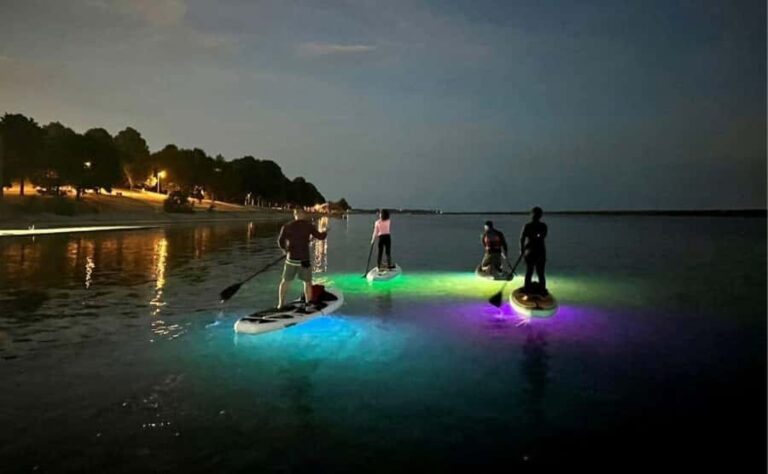 Gordon Bay: Paddleboard Glow Cruise Light & Sound Experience - What to Expect During the Glow Paddleboard Cruise