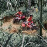 Gorilla Face Cave Jungle and Waterfall with ATV Quad Bike - The Value and Practicalities