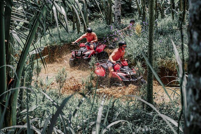 Gorilla Face Cave Jungle and Waterfall with ATV Quad Bike - The Value and Practicalities