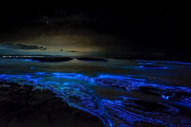 Grand Cayman Bioluminescence Experience - What’s Included and What’s Not