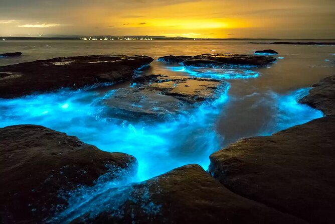 Grand Cayman Bioluminescent Bay Tour - The Sum Up: Who Should Book This?