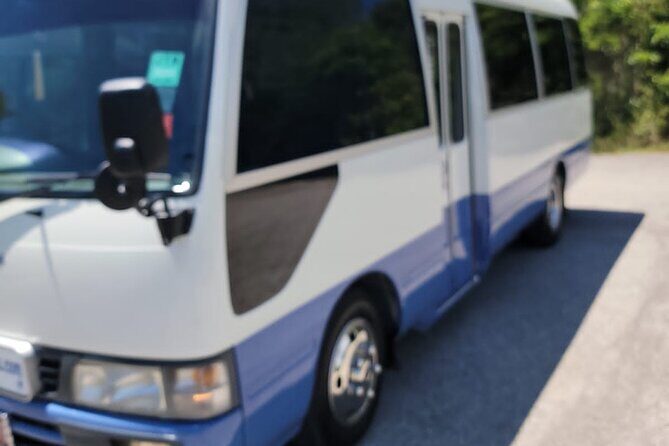 Grand Palladium Resort Airport Transfers Arrivals and Departures - Who Will Benefit Most from This Service?