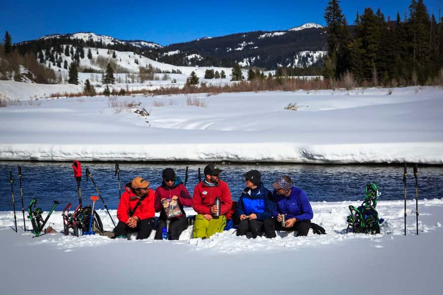 Grand Teton National Park: 4-Hour Easy Snowshoeing Tour - What to Expect During the Tour