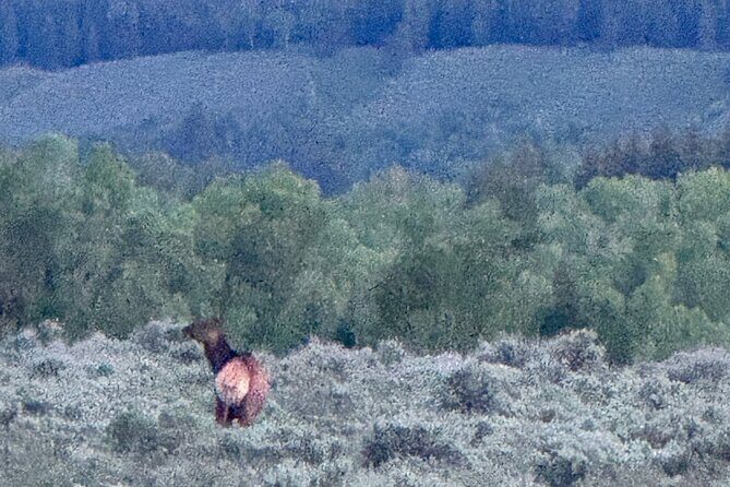 Grand Teton Sunrise Scenic Tour - The Itinerary: What to Expect