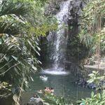 Grand Tours Grenada Call the Boss Taxi Luxurious Island Tour - The Transport and Comfort