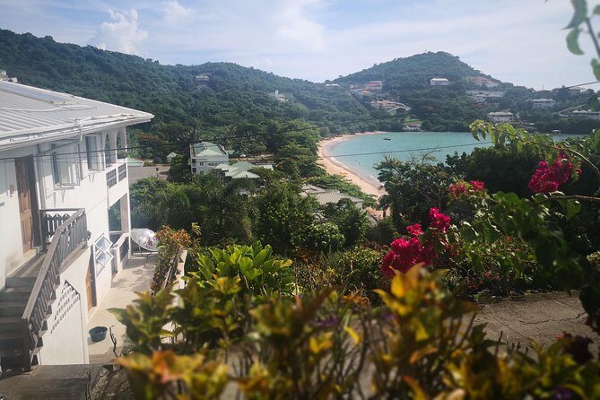 Grand Tours Grenada Call the Boss Taxi Luxurious Island Tour - Who Should Consider This Tour?