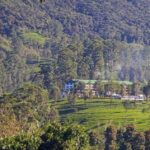 Grand Trek: 20-Day Guided Pekoe Trail with Hotels &Transfers - What the Experience Feels Like