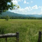 Great Smoky Mountains Self-Guided Scenic Drive and Audio Tour - Practical Insights for Travelers