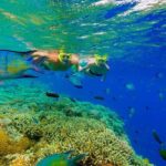 Great Snorkeling Cruise with Sharks & Stingray Encounter and Natural Pool - The Sum Up