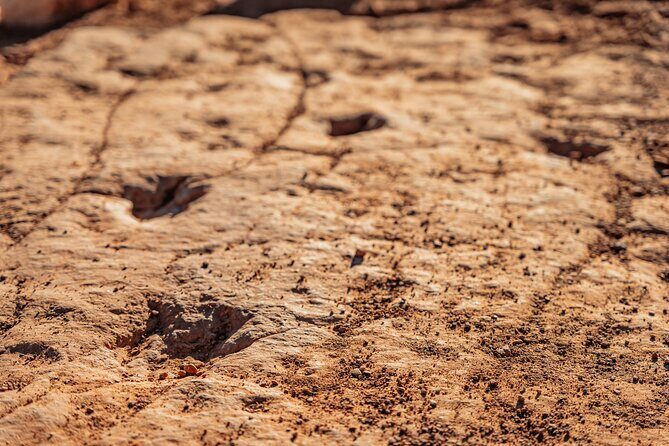 Greater Zion: Dinosaur Tracks in the Desert UTV Tour - How Does It Compare to Other Zion Adventures?