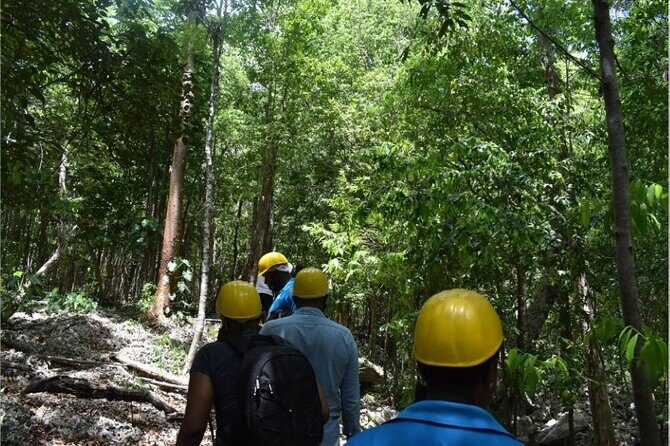 Green Grotto Cave Private Tour - What Travelers Say and Why It Matters