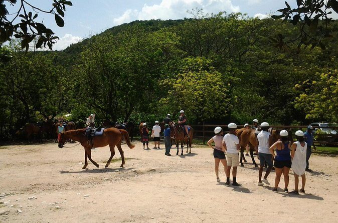 Green Grotto Caves Horseback Riding Adventure from Montego Bay - Why Choose This Tour?