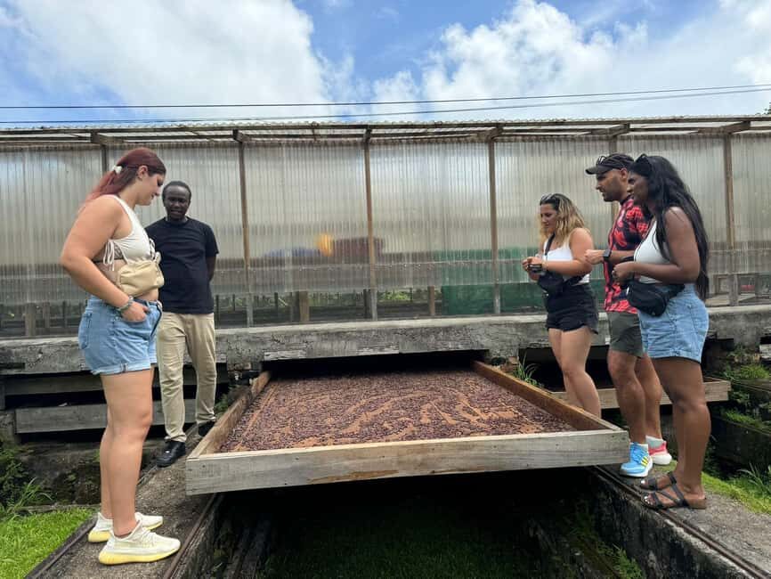 Grenada: Belmont Estate Tree to Bar Chocolate Workshop - Practical Details and What to Expect