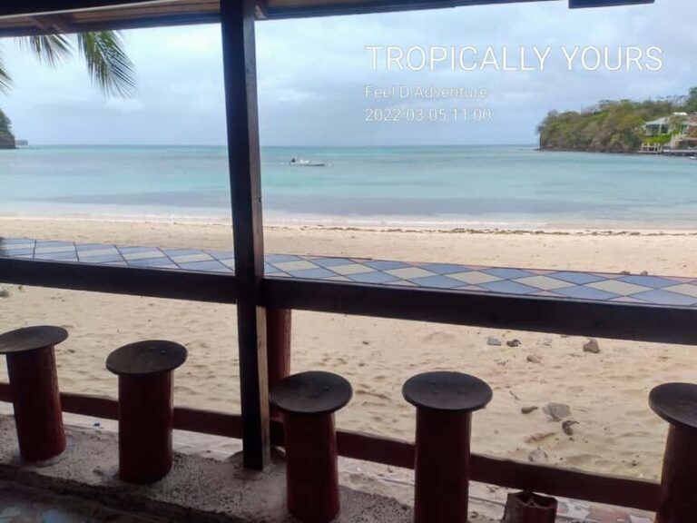 Grenada: Half-Day Island Tour with Waterfall Swim Stop - What the Tour Means for Your Visit