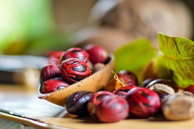 Grenada Half Day Tour: Fort, Spice, Falls, Chocolate & Lunch Stop - The Sum Up: Who Should Consider This Tour?