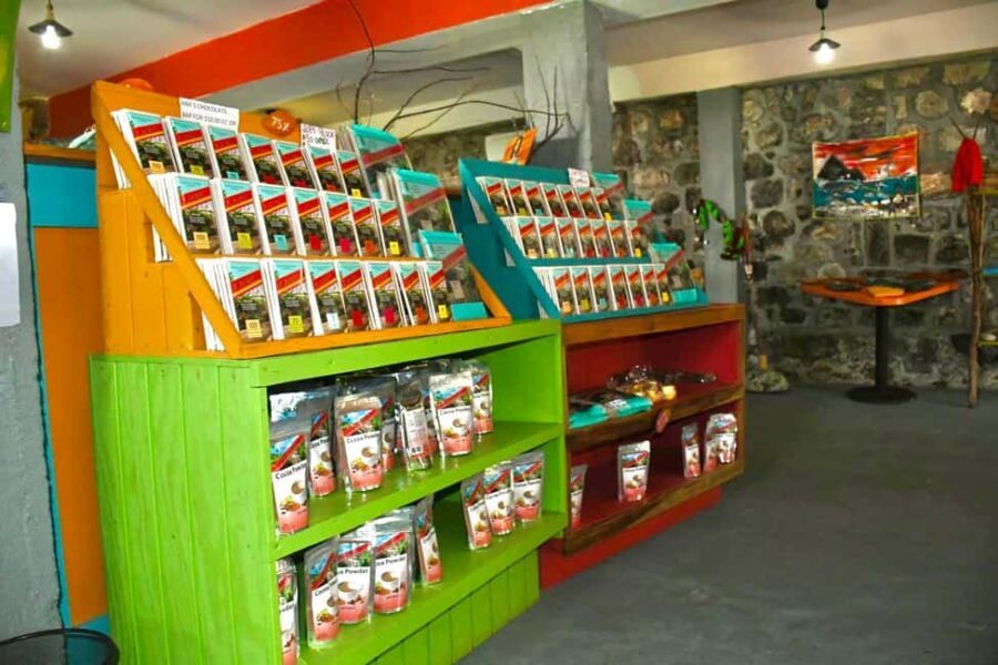 Grenada Half Day Tour: Fort, Spice, Falls, Chocolate & Lunch - Deep Dive into Each Stop