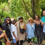 Grenada Highlights Half-Day Rum, Chocolate and Waterfall Tour - Practical Details and What to Expect