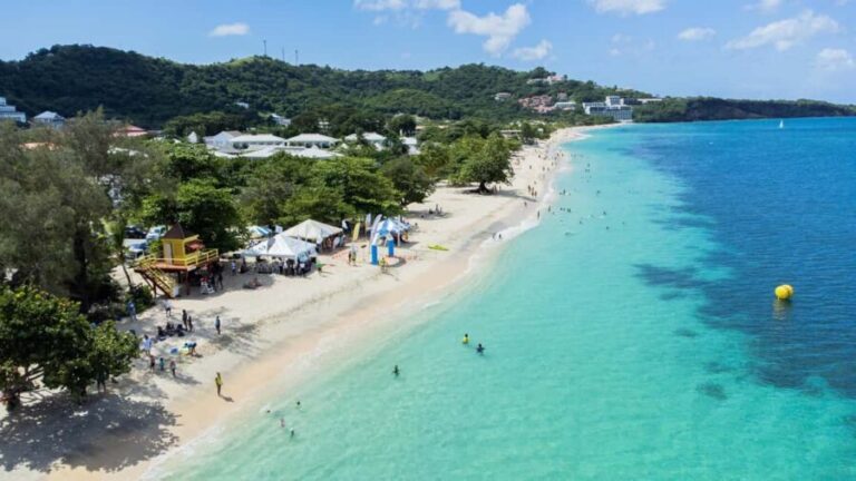 Grenada: Island Tour with Waterfalls and Beaches - Cultural and Culinary Highlights